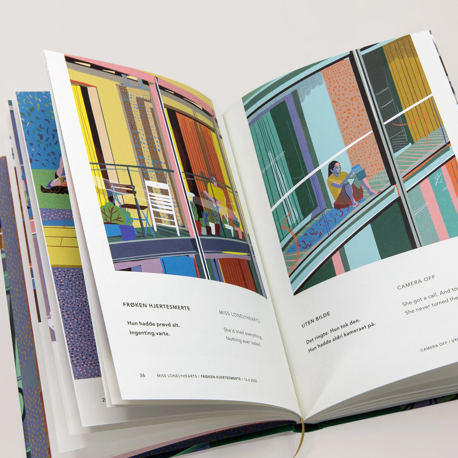 The book shows a series of new works by Norwegian artist Hanne Friis ...