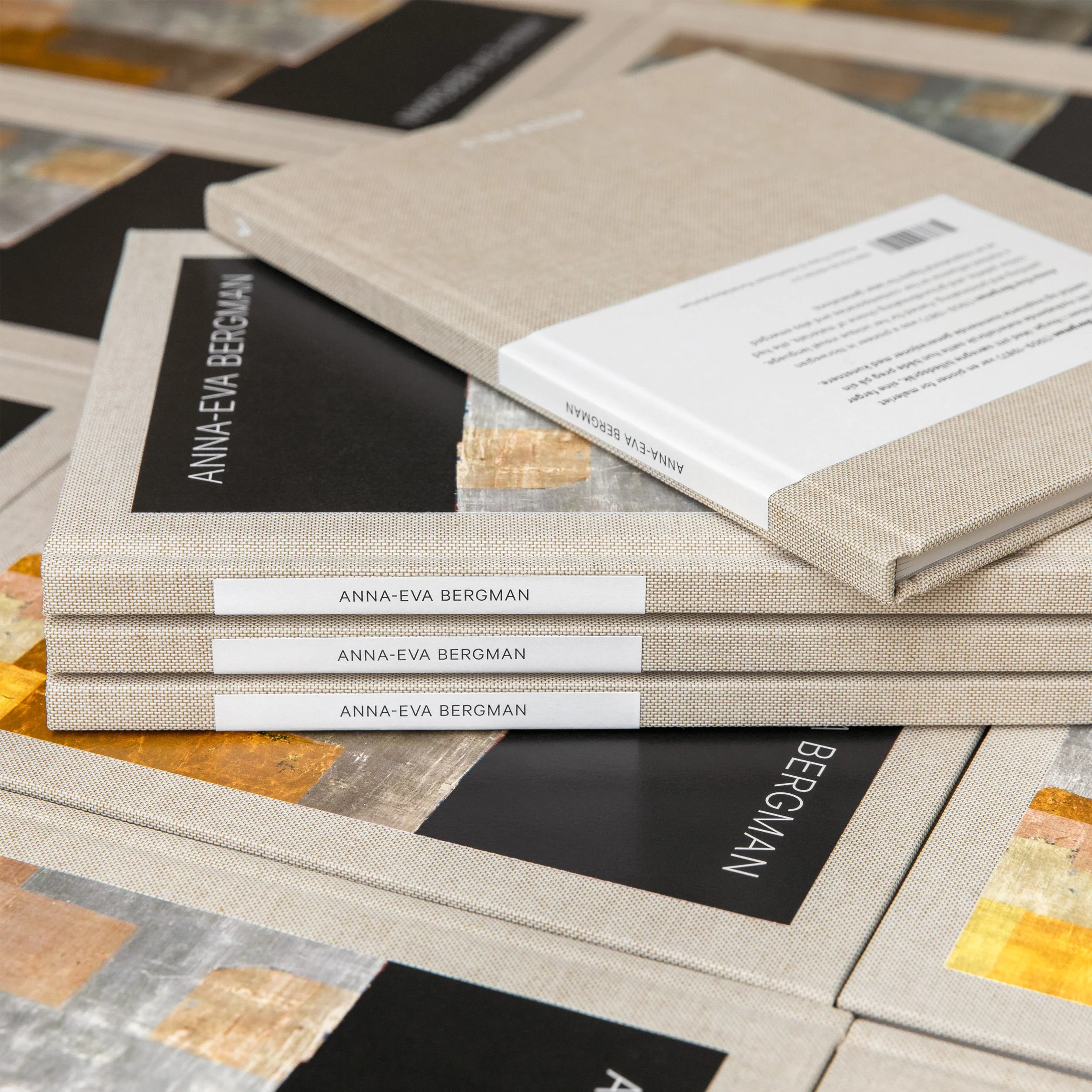 The book shows a series of new works by Norwegian artist Hanne Friis ...