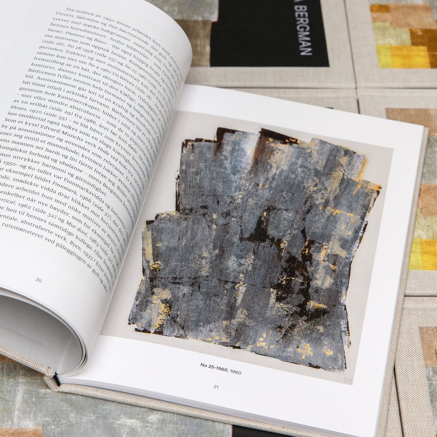 The book shows a series of new works by Norwegian artist Hanne Friis ...