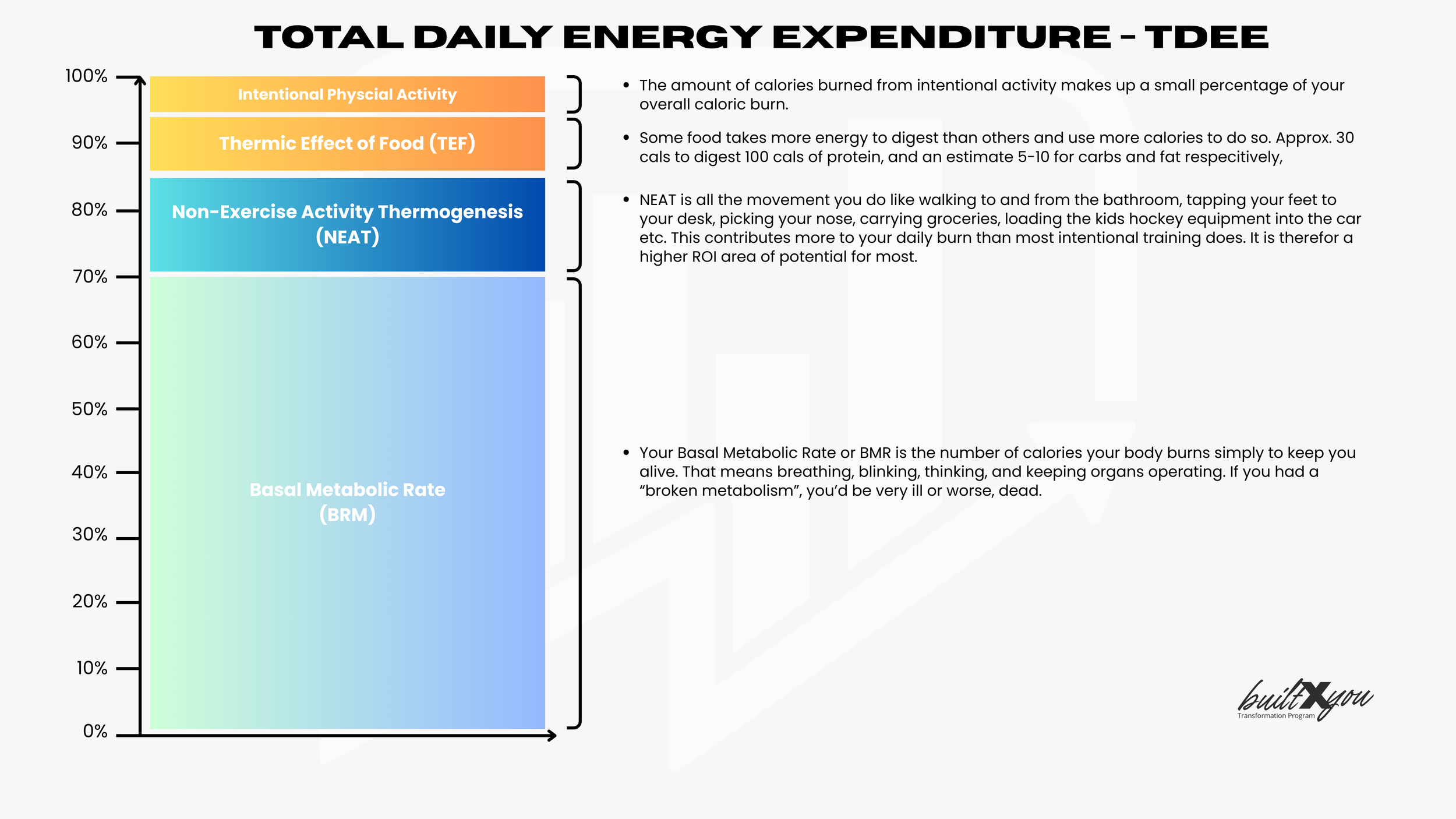 Understanding Total Daily Energy Expenditure TDEE — builtXyou