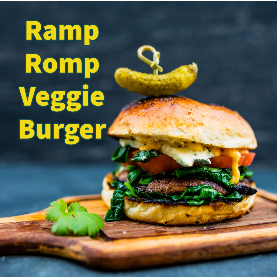 Ramp Romp Admission — Embark Maple Energy