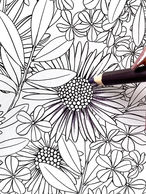 Colored Pencil Shading 101 — Flowerscape