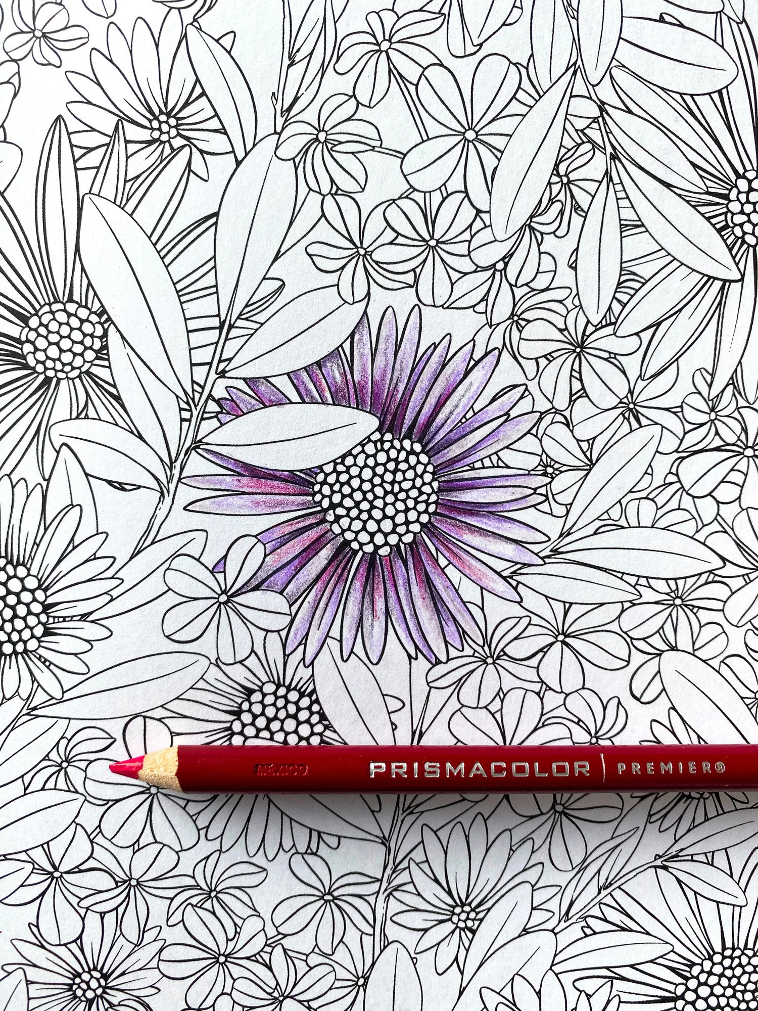 Colored Pencil Shading 101 — Flowerscape