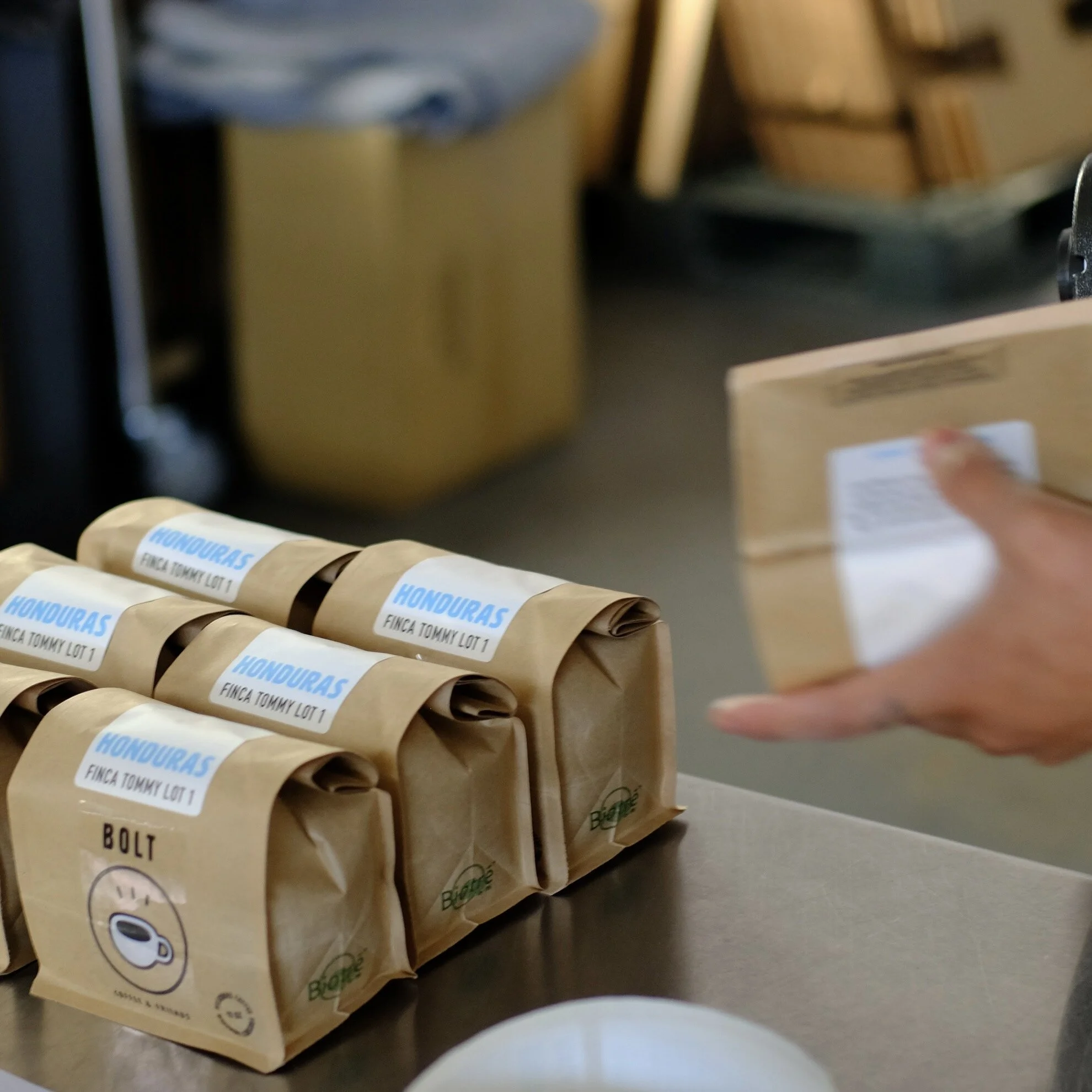 Wholesale Coffee Roaster in Providence RI — Bolt Coffee Co.