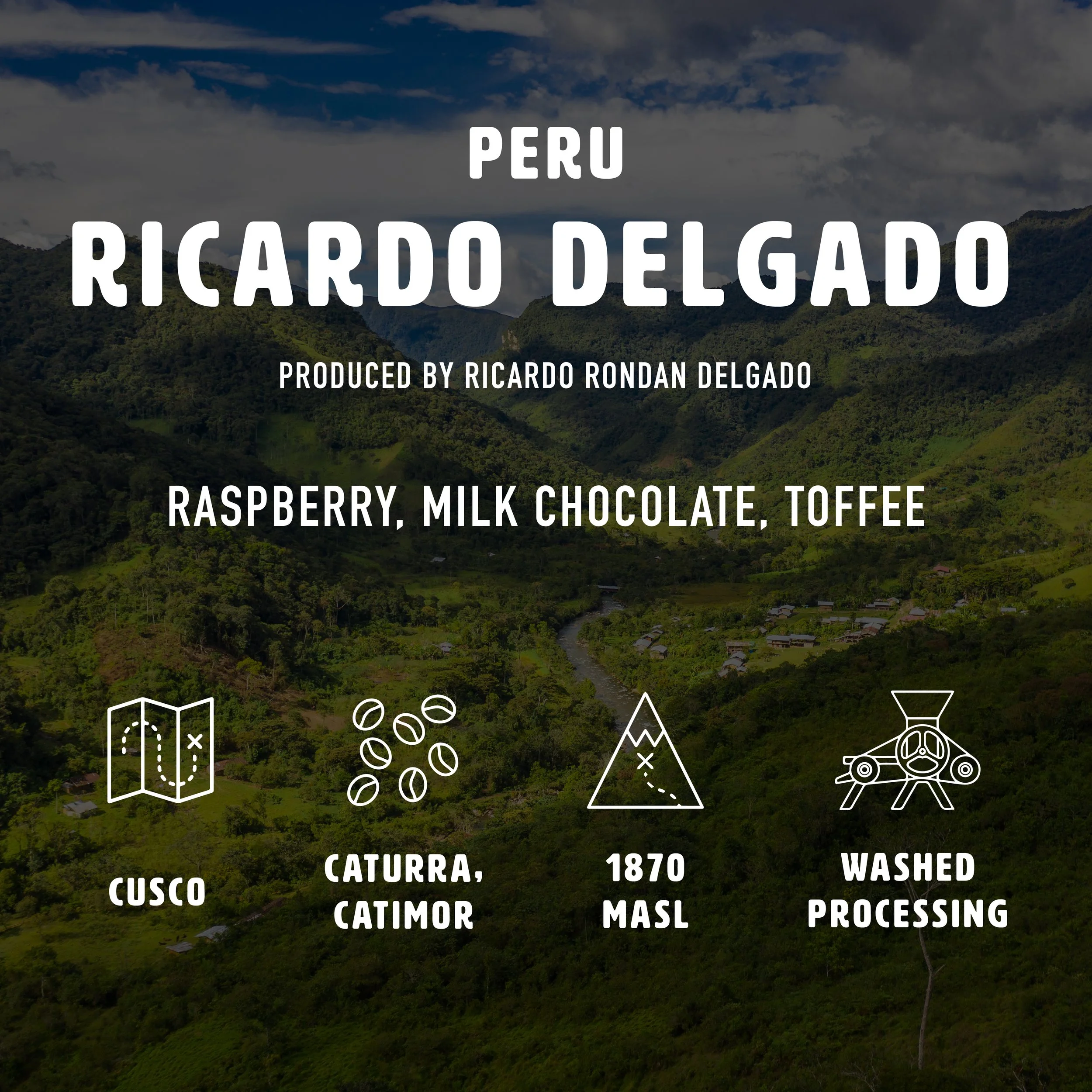 Shop — Bolt Coffee Co.