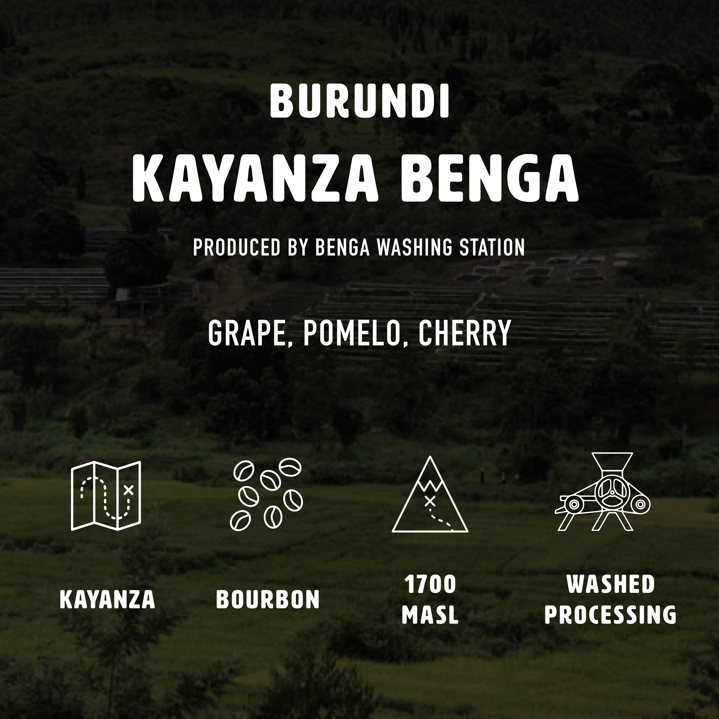 Coffee — Shop — Bolt Coffee Co.