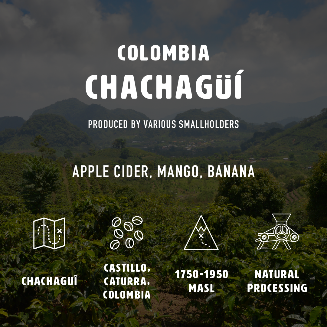 Colombia - Chachagüí Natural — Bolt Coffee Co.