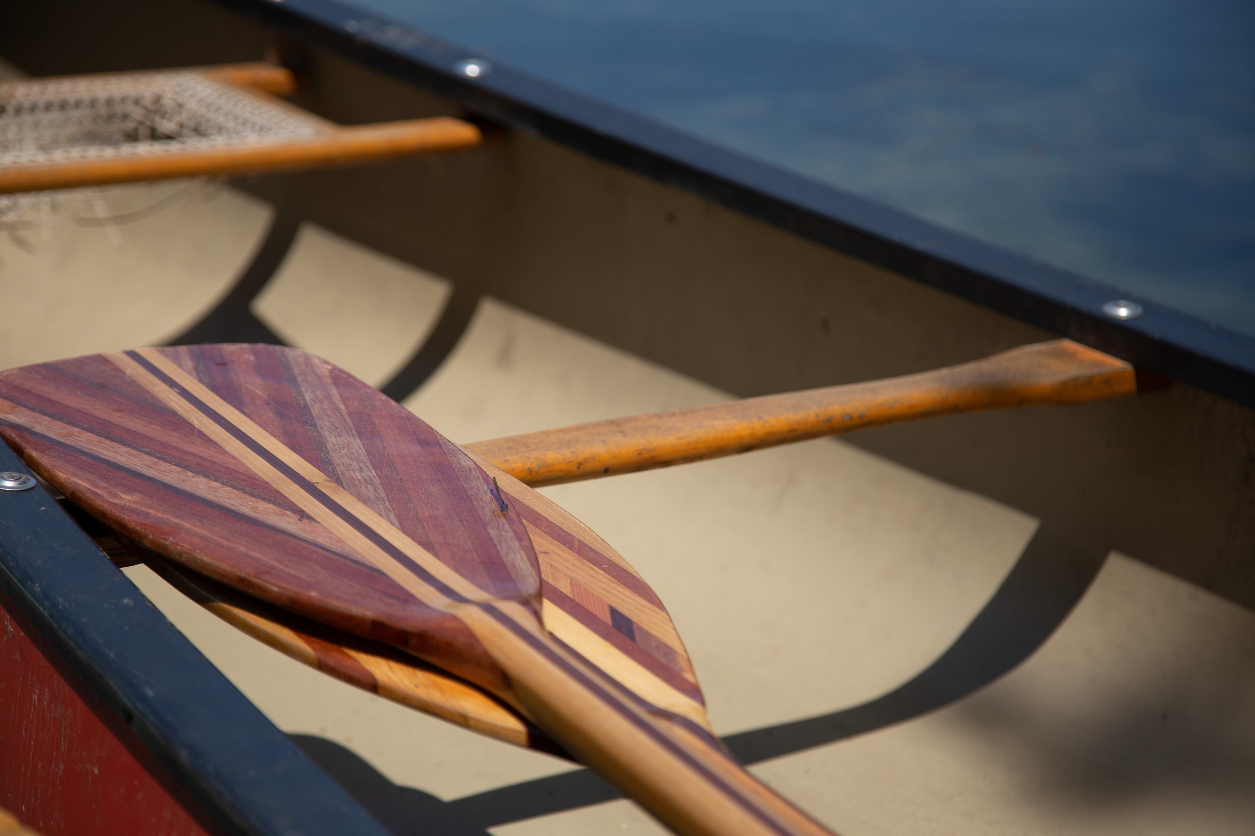 Gallery — White Pond Paddles