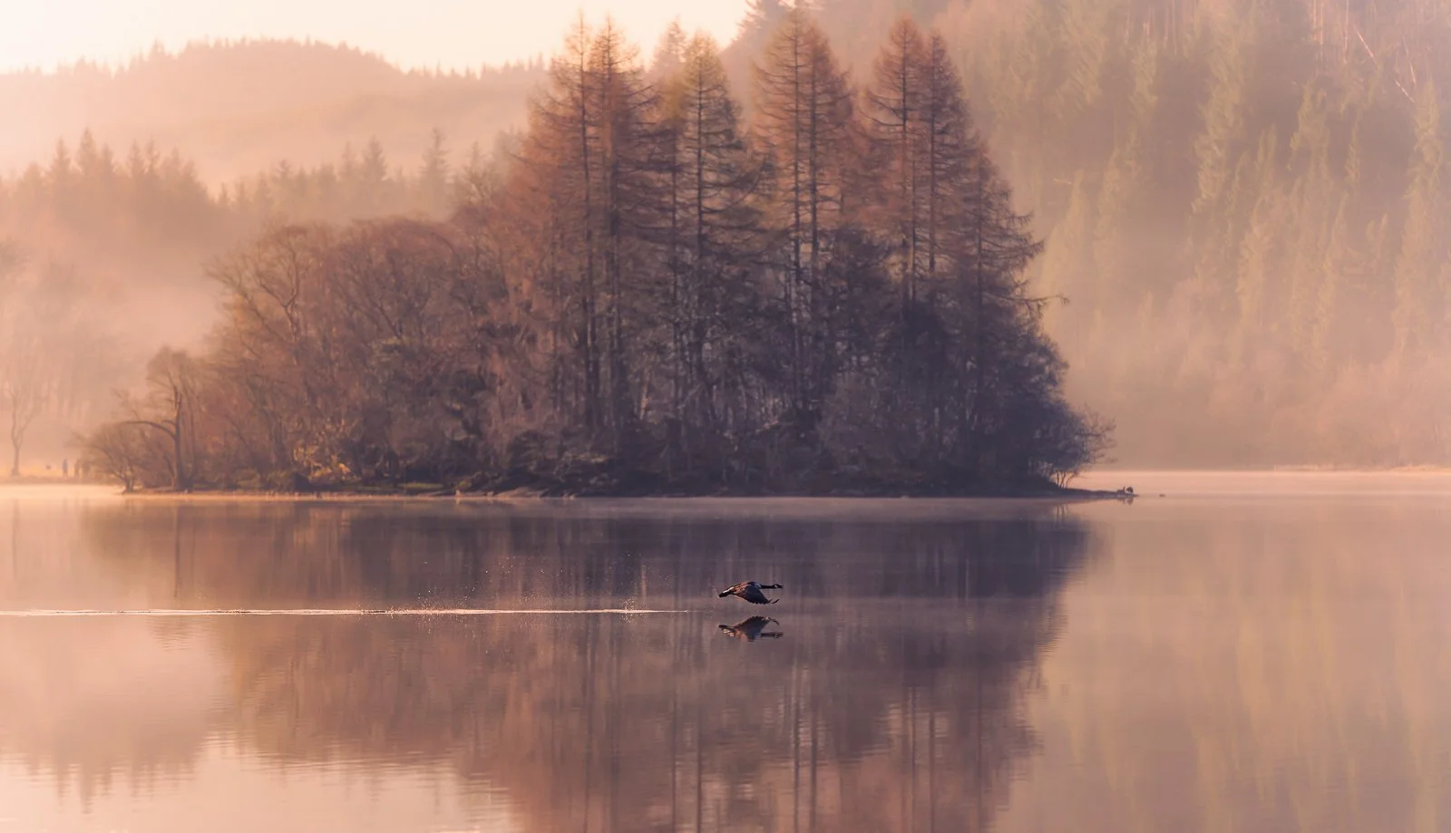 Loch Lomond Gallery — grahammackayphotography.com