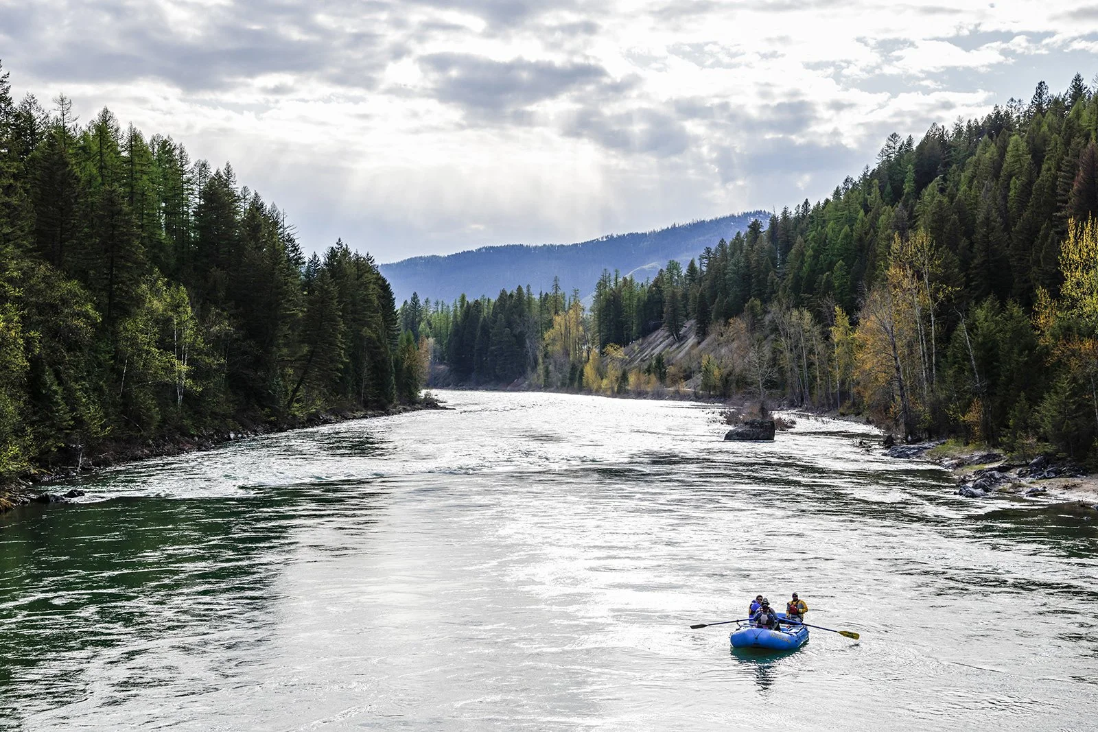 Flathead Rivers Alliance Seeks Volunteers for 2024 Science and Safety ...
