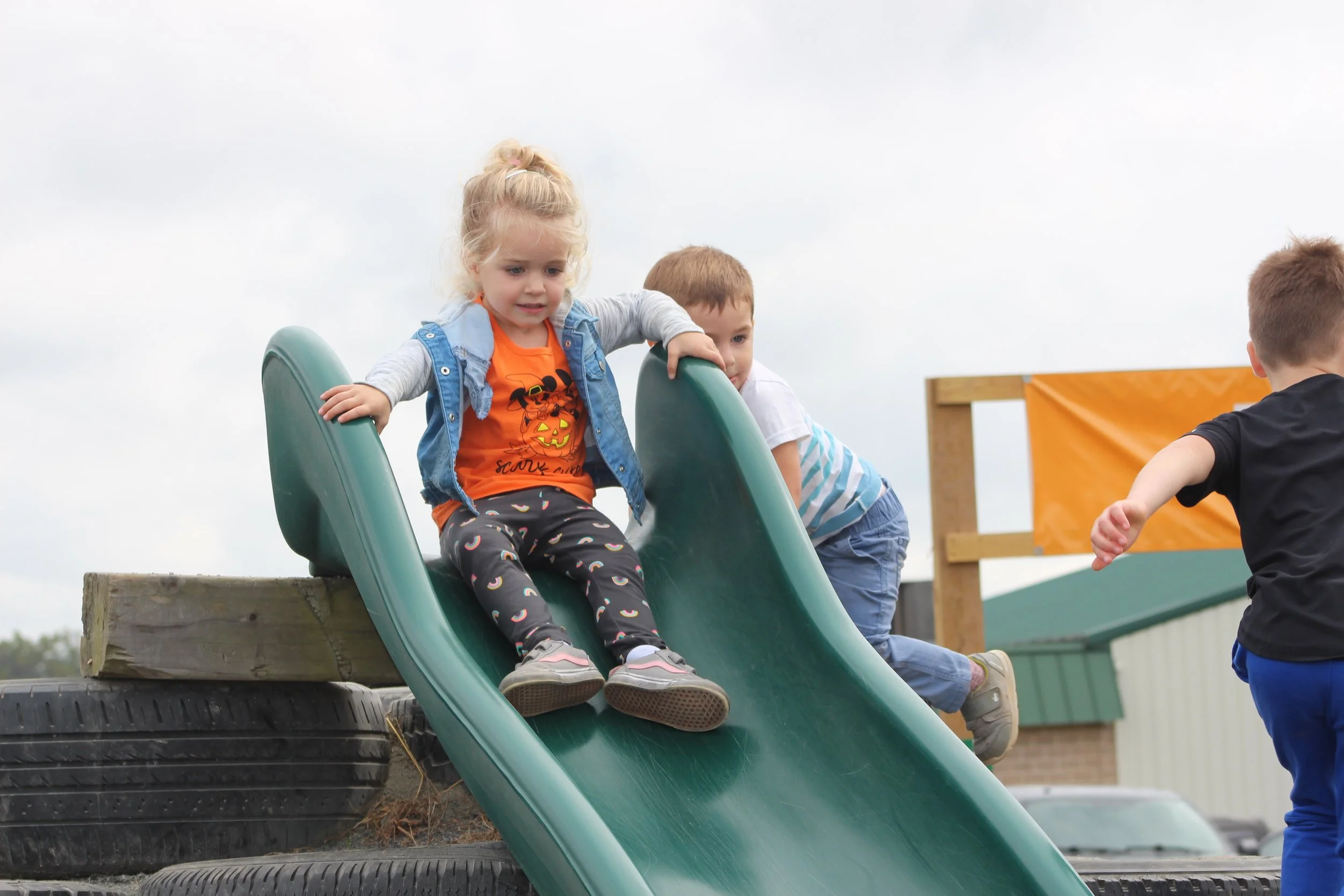 Beachmont Corn Maze Activities — Beachmont: Developing the Whole Person