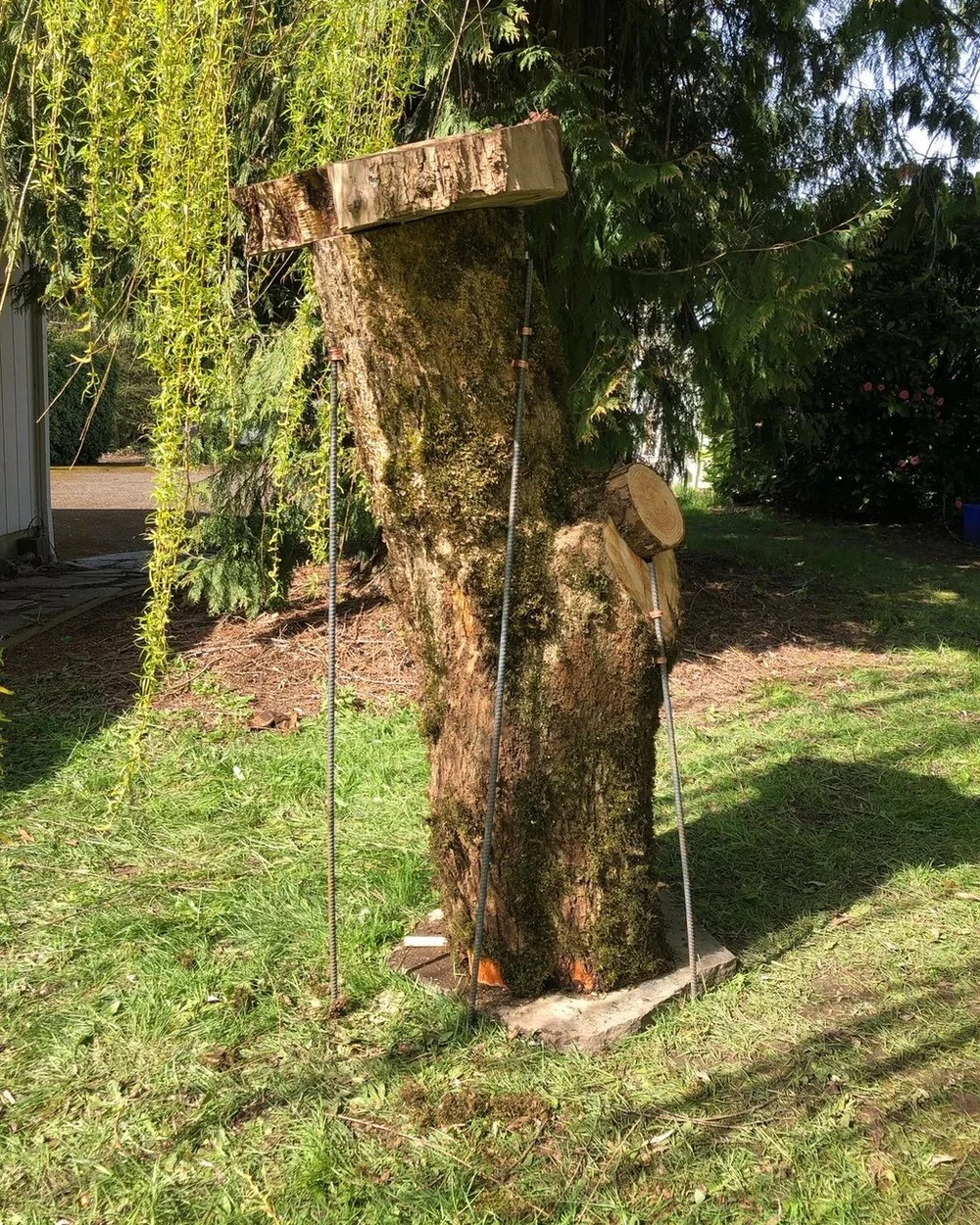 18 Bees — The Verdancy Project