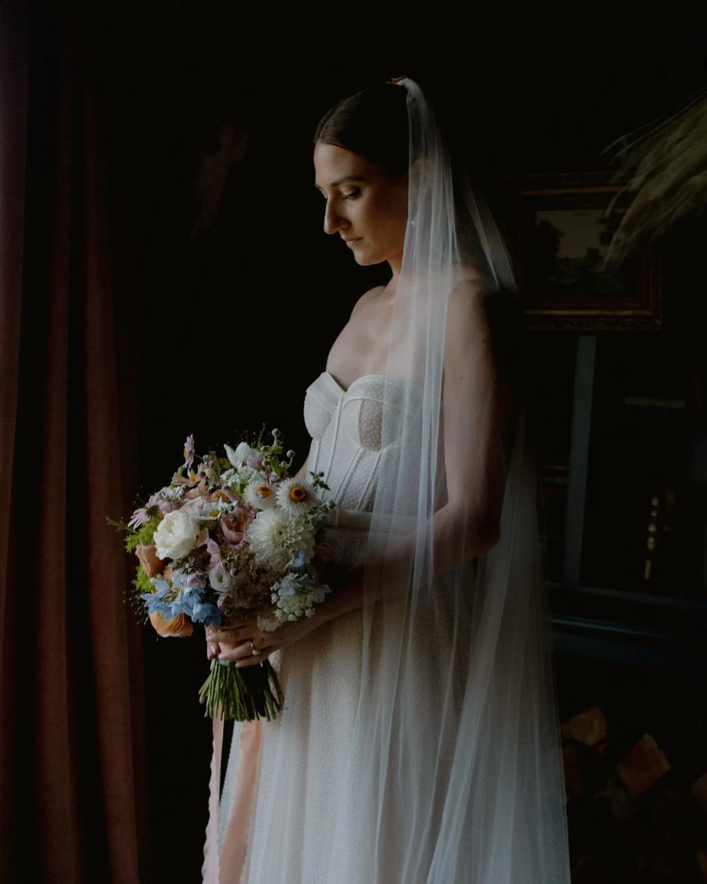 Which Flowers Are in Season May - March — Meadow Wilds