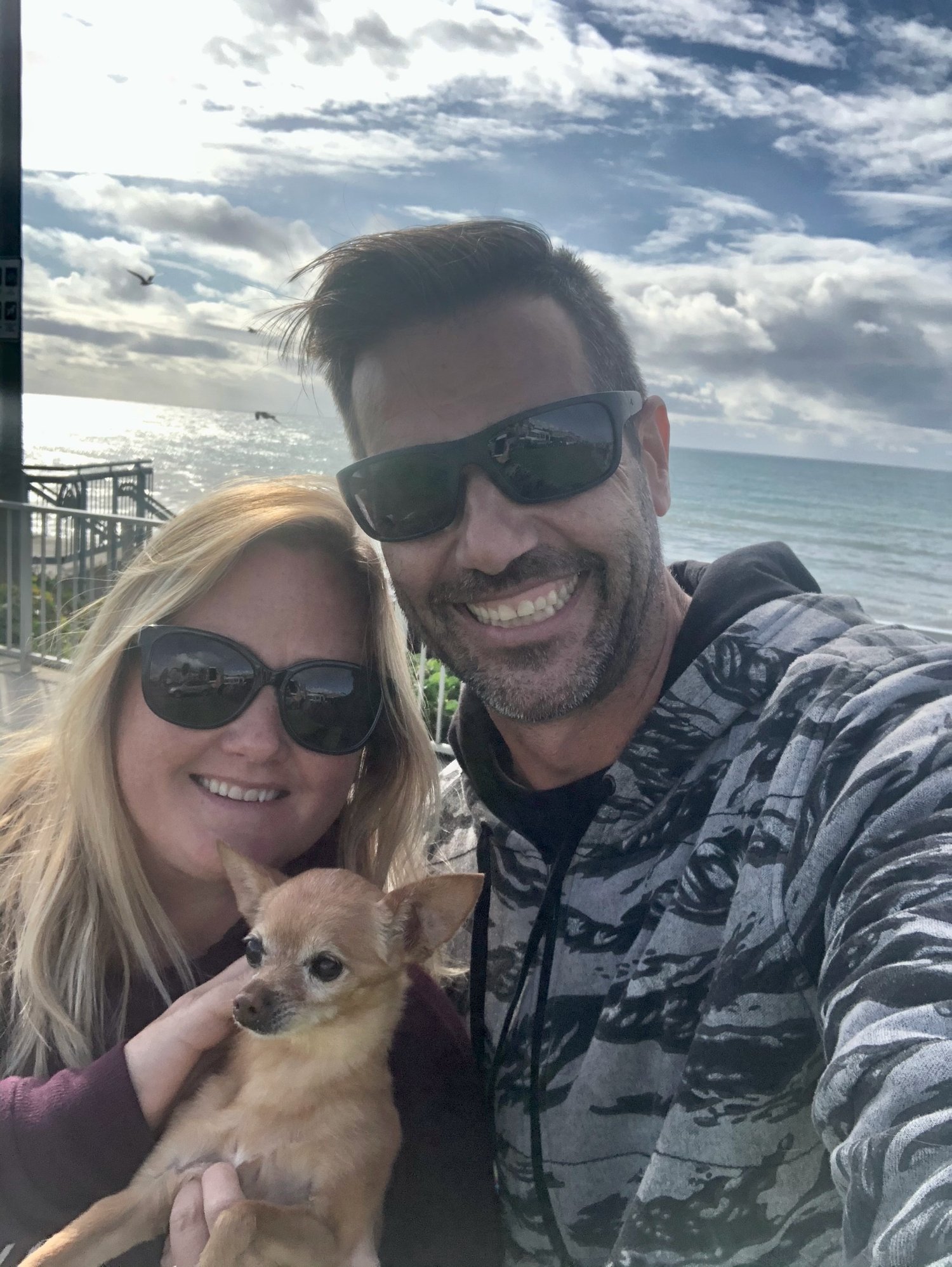 Rebecca Rigaud — e•homes