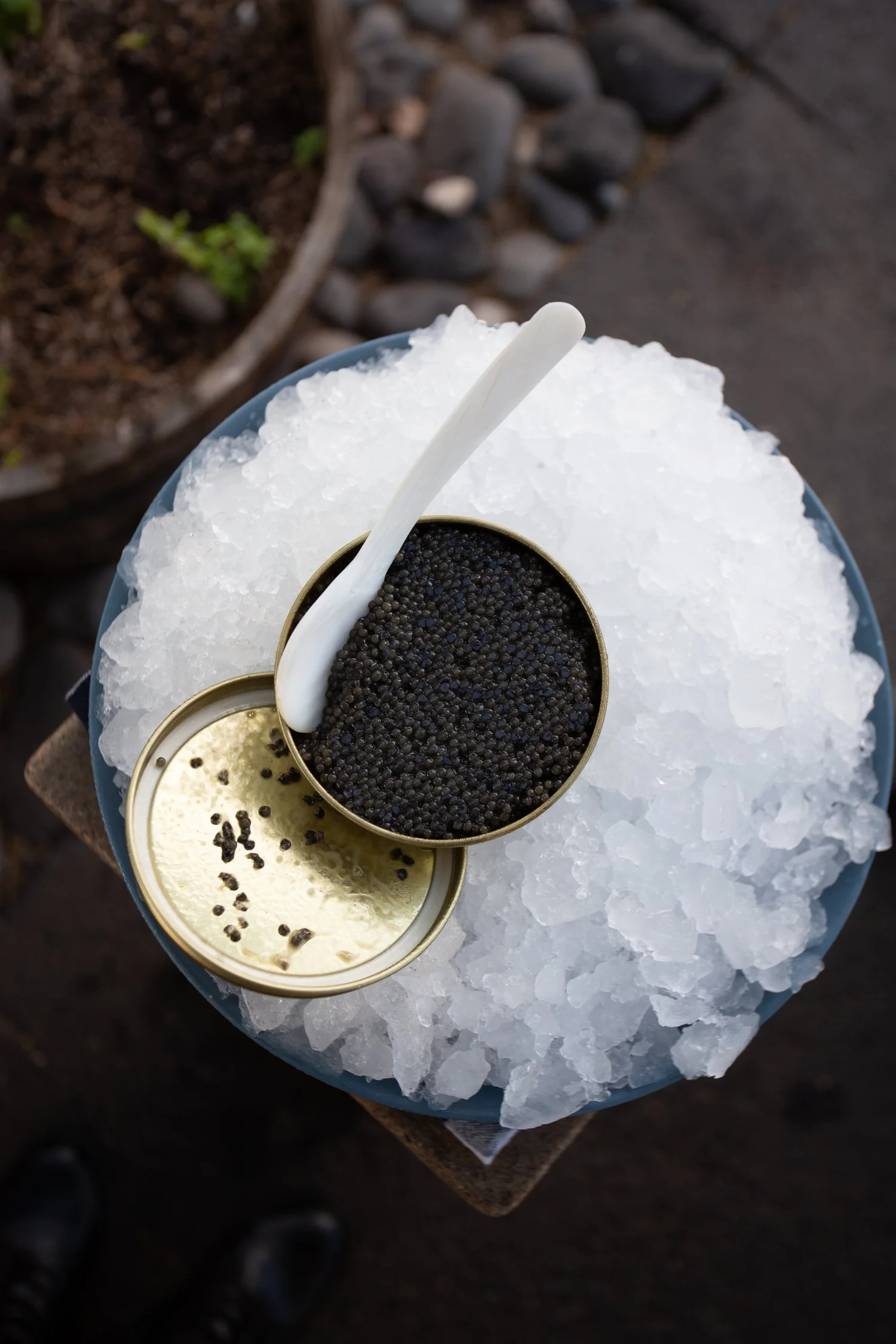 Catering on Maui – Mala Ocean Tavern