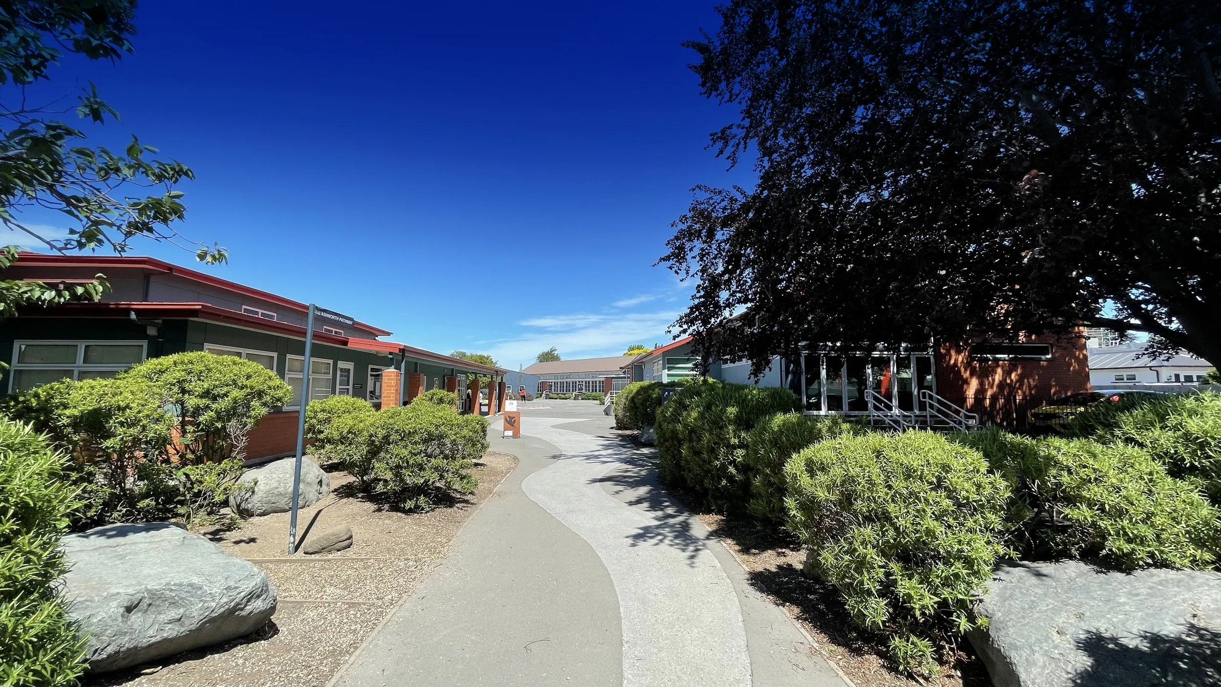 Paparoa Street School