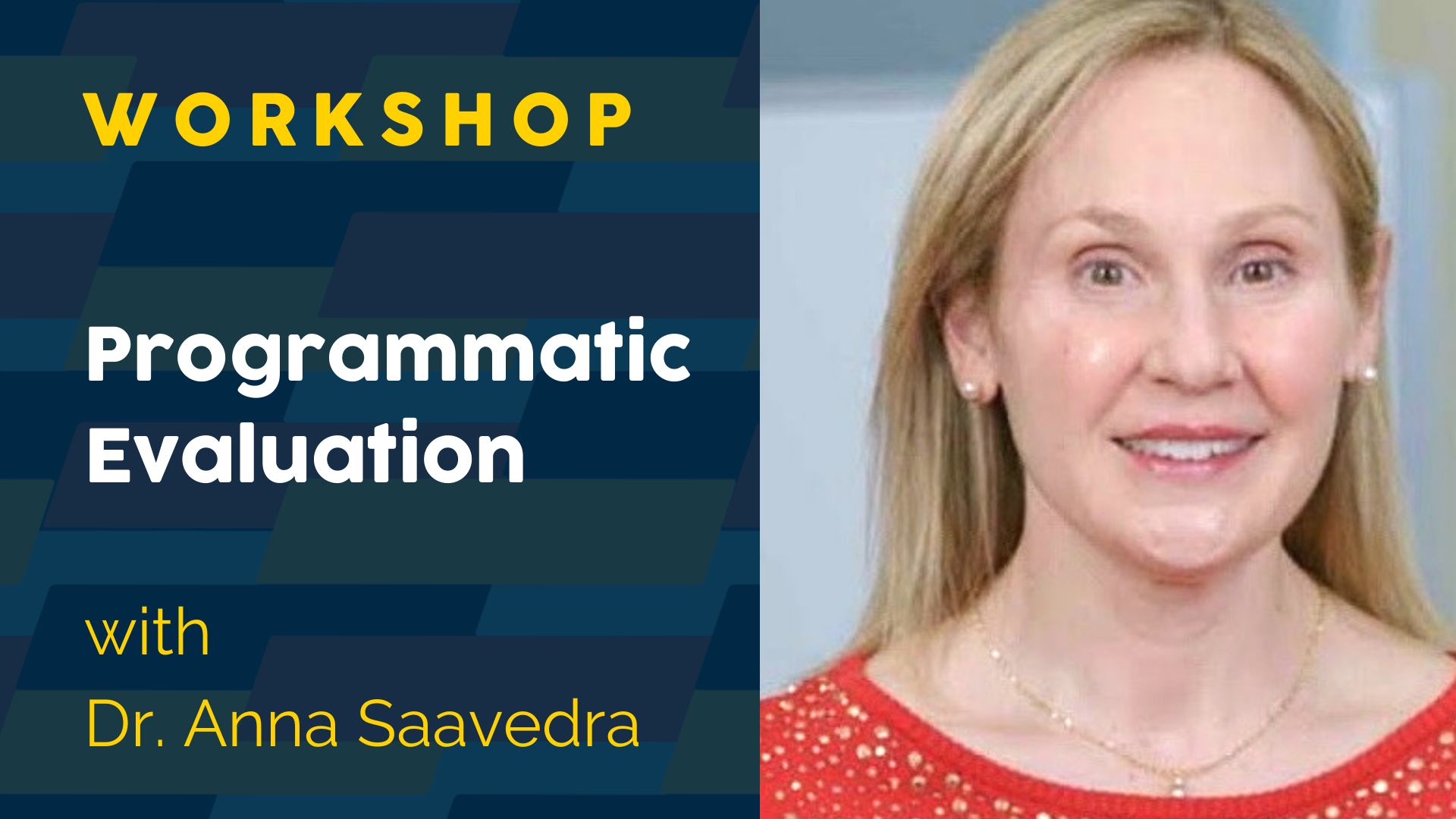 Technical Workshop: Programmatic Evaluation — Democracy Moves | Helping ...