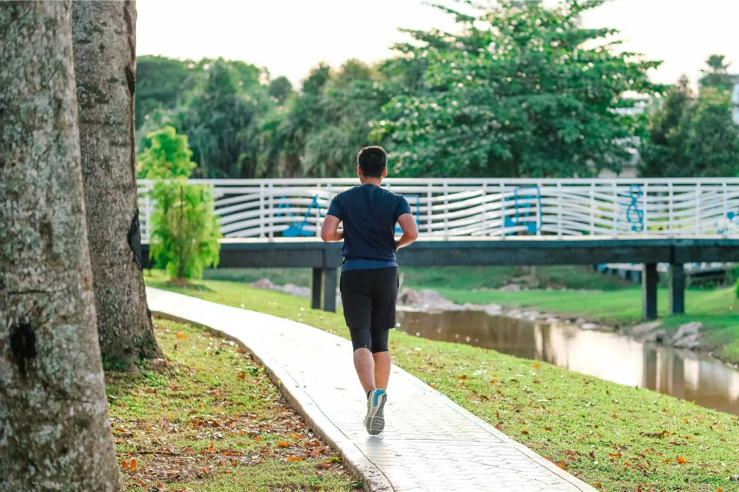 The 6-6-6 Walking Routine: Benefits, Science, and How to Start ...