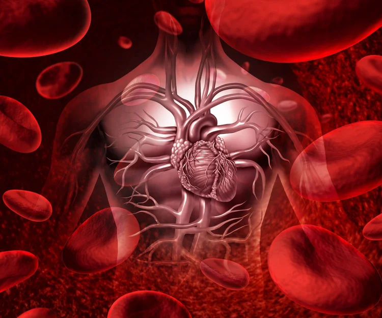 Vascular Disease Made Simple: Causes, Types, and Prevention Tips ...