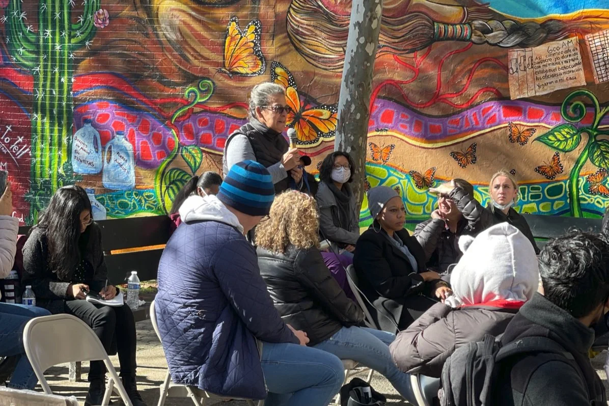 What We Do — SOUTH BRONX UNITE