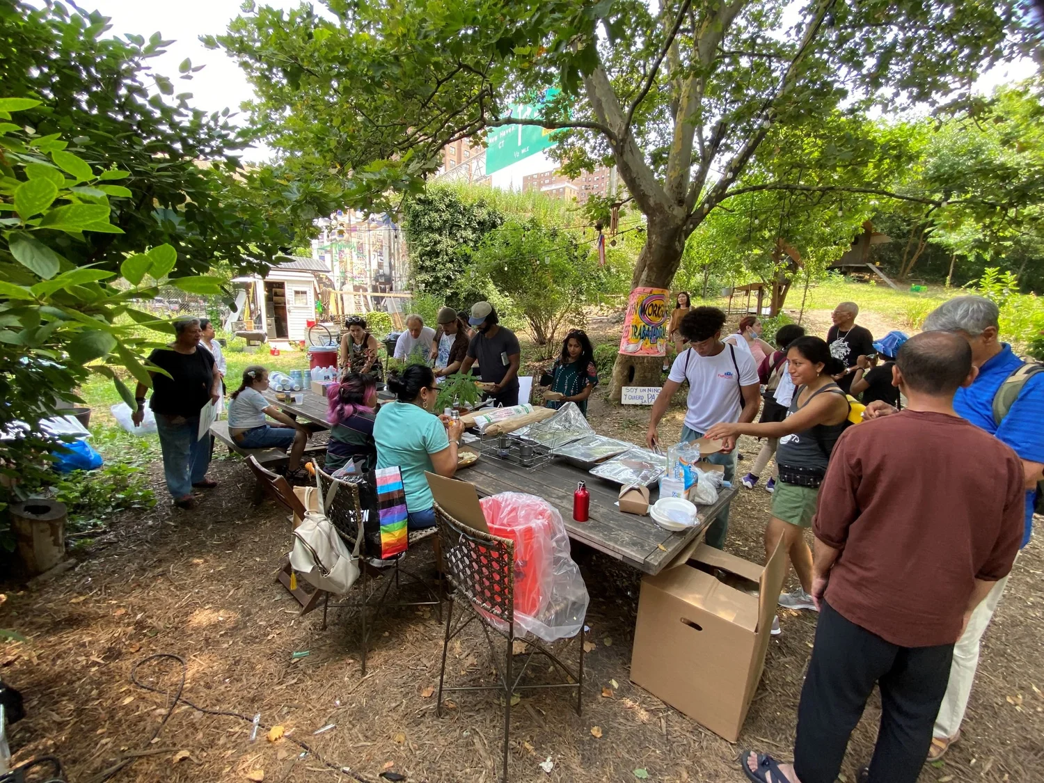 What We Do — SOUTH BRONX UNITE