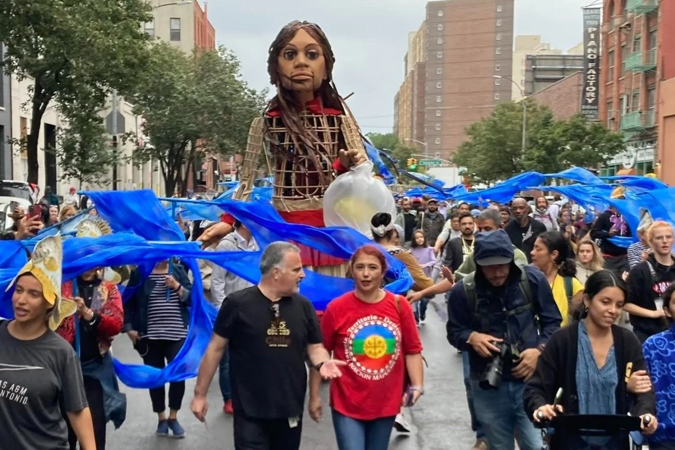 What We Do — SOUTH BRONX UNITE