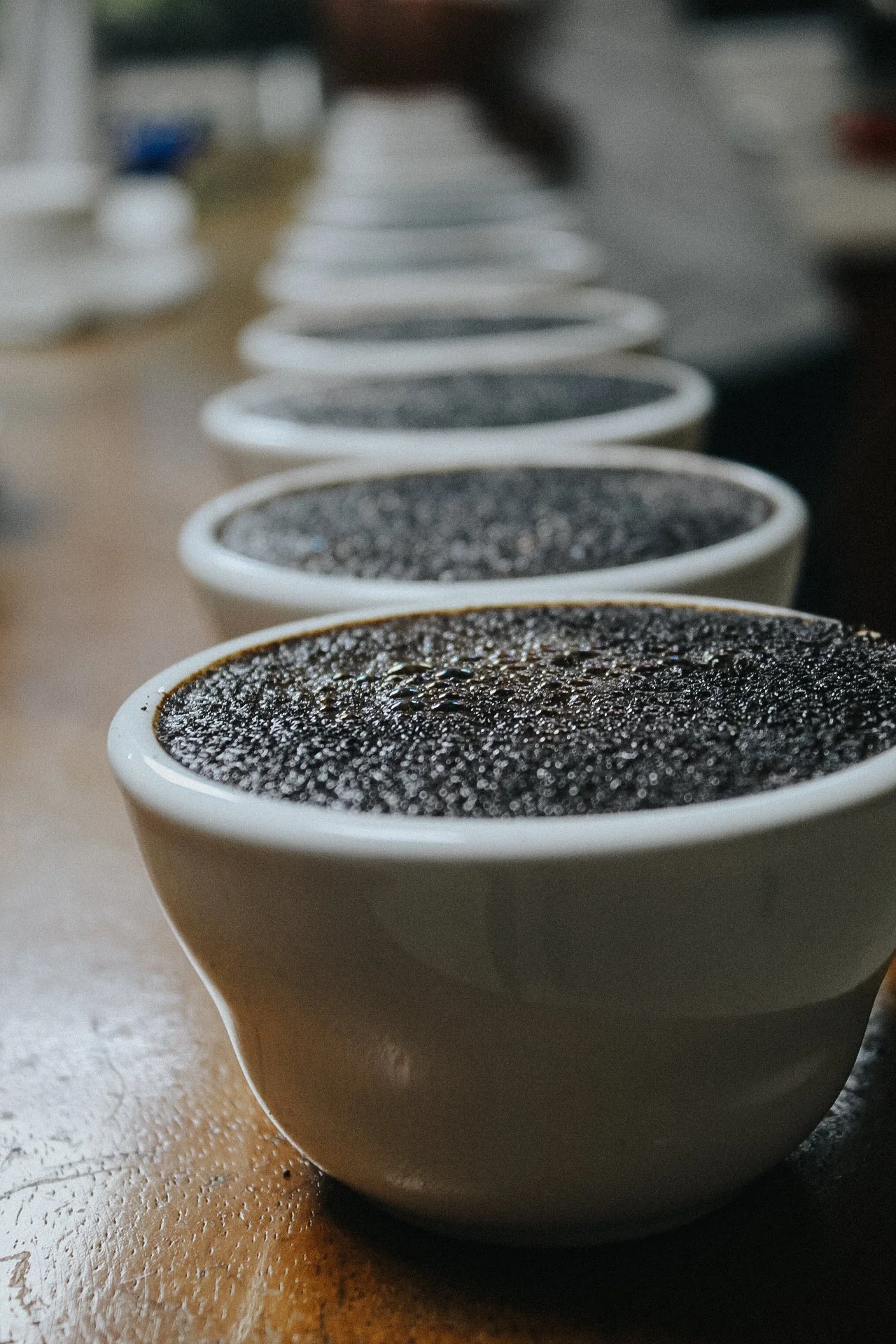 Coffee Tasting Experience — Viva Coffee Roasters