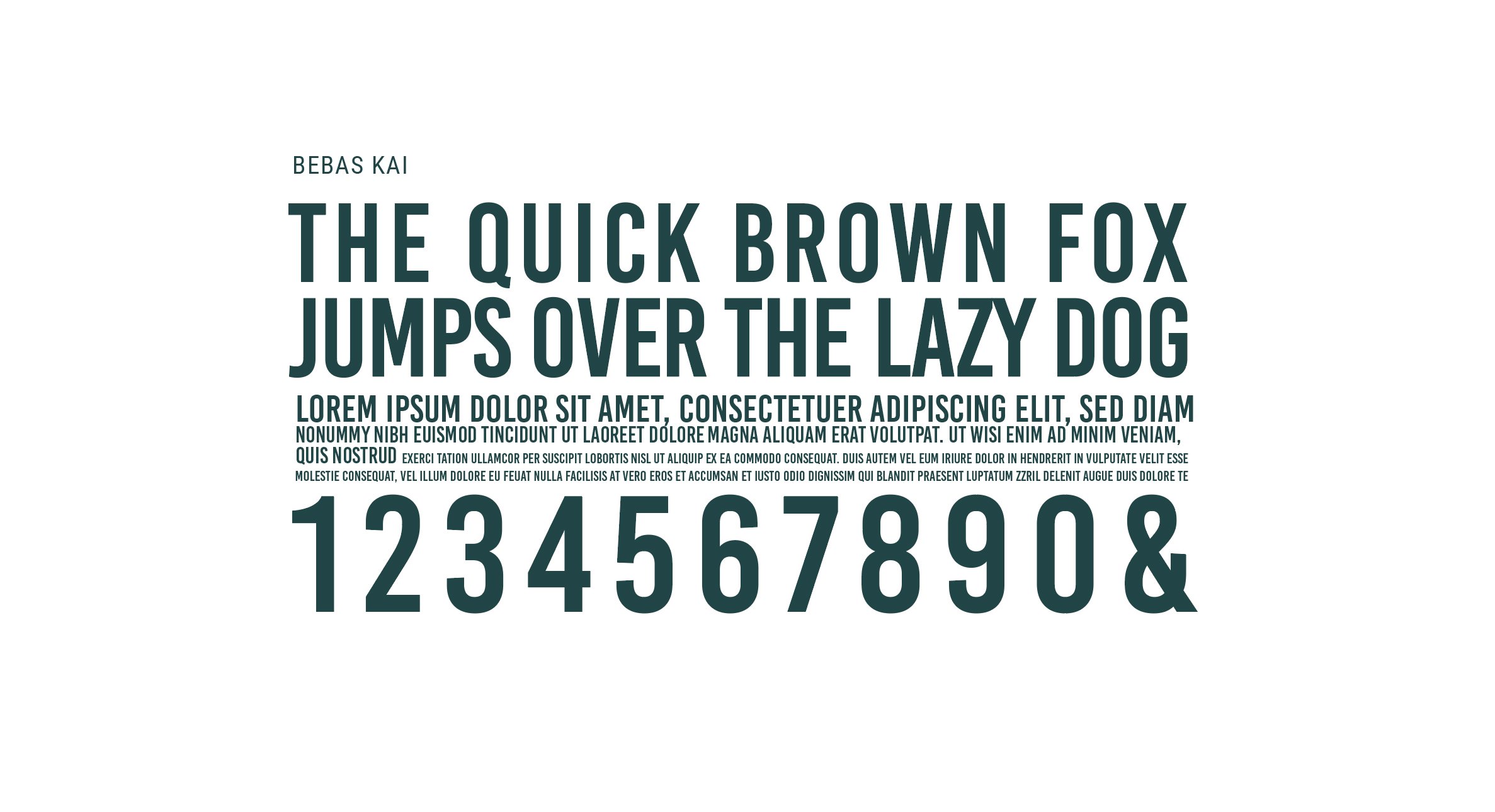 PC BRANDING GUIDELINES — PacersAthletic