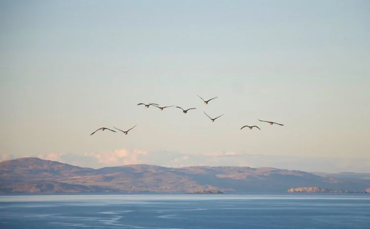 Iona Pilgrimage — Earth & Soul