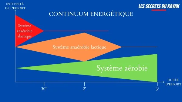 Les bases de l'entraînement en Kayak — Les secrets du Kayak