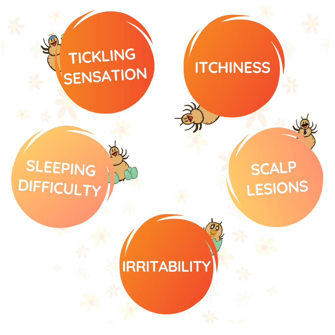 All you need to know about lice — Lice Specialists