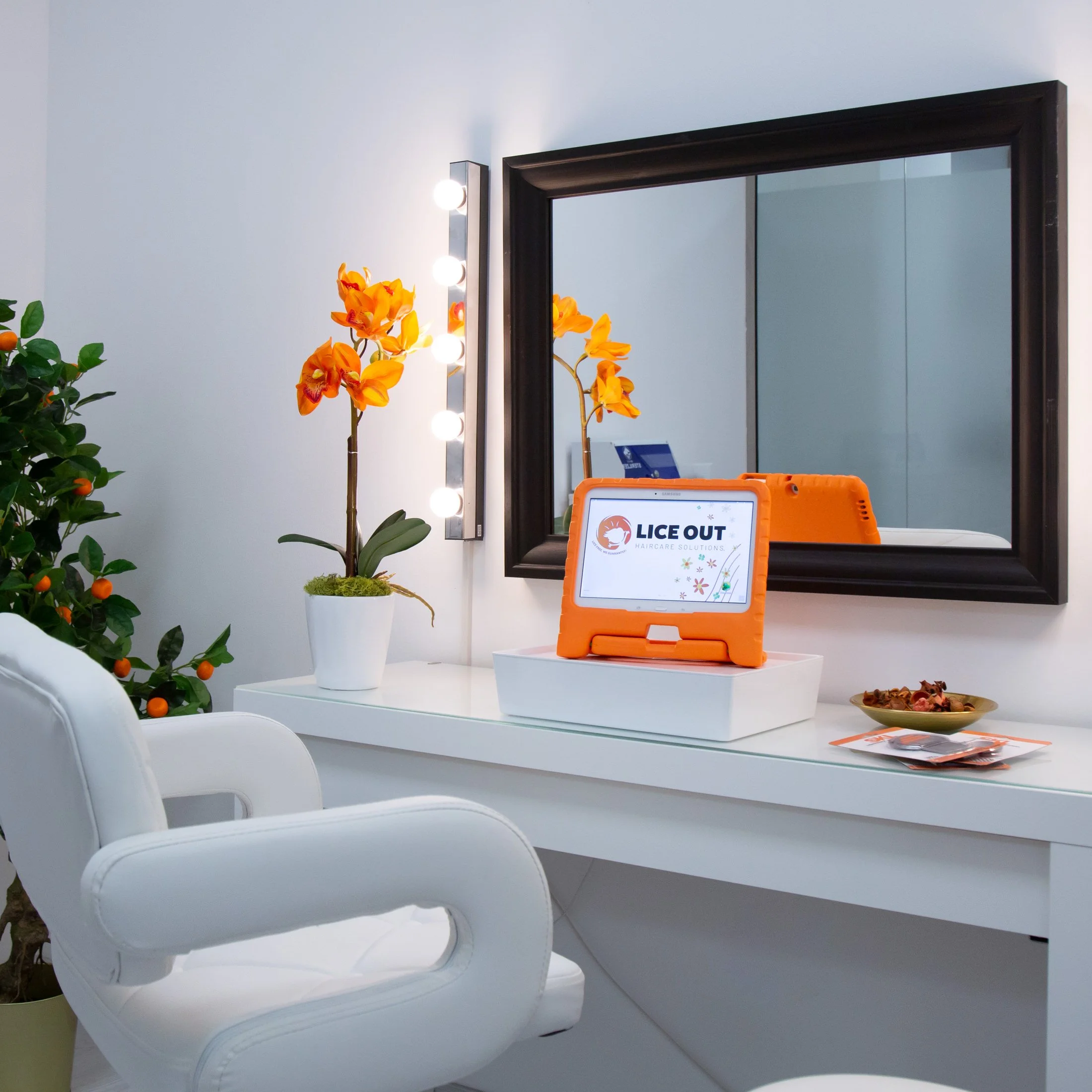 Lice Specialists - Lice Clinic Dubai