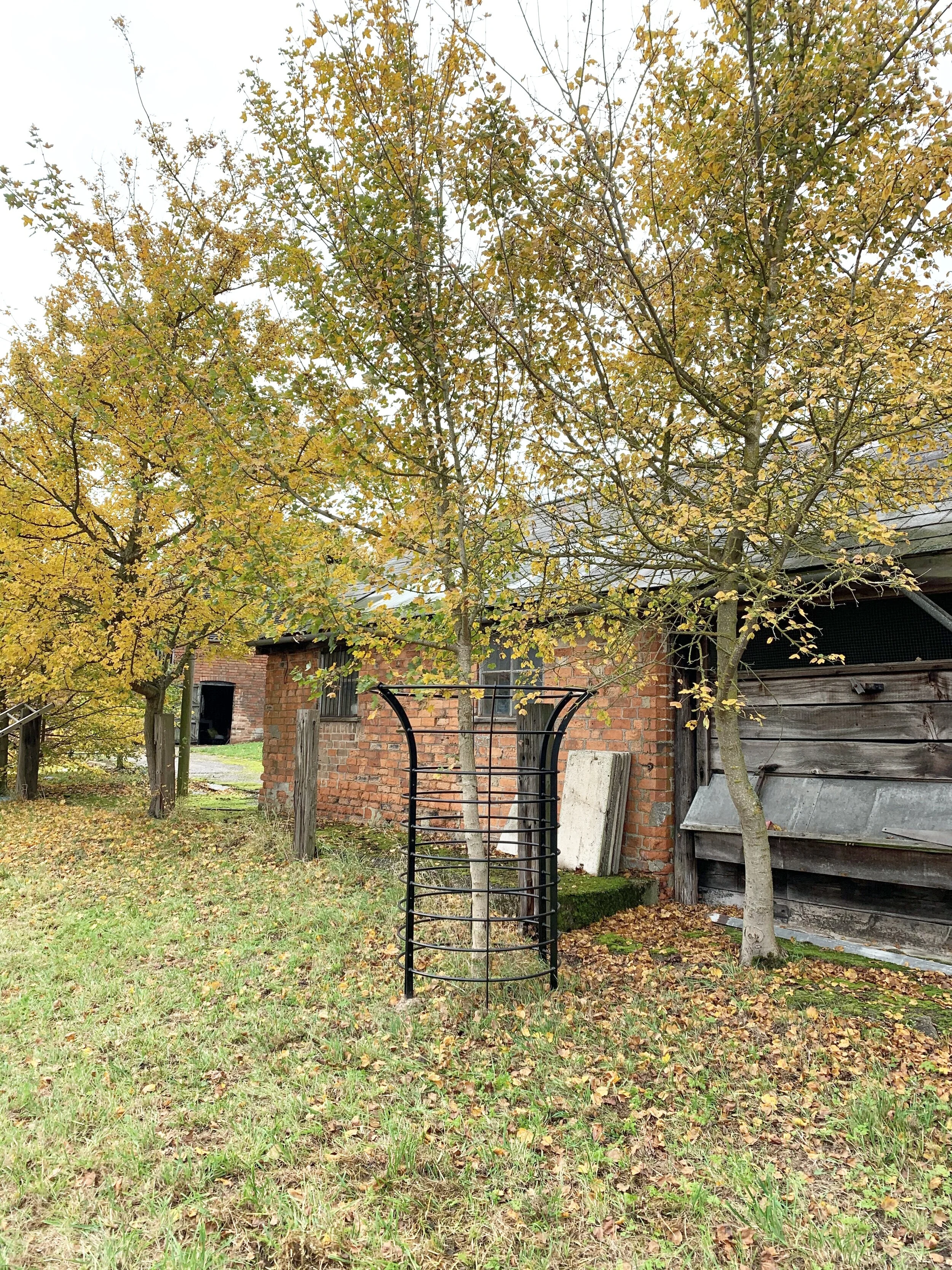 Traditional Steel Tree Guards | Steel Landscaping Co. — Steel ...