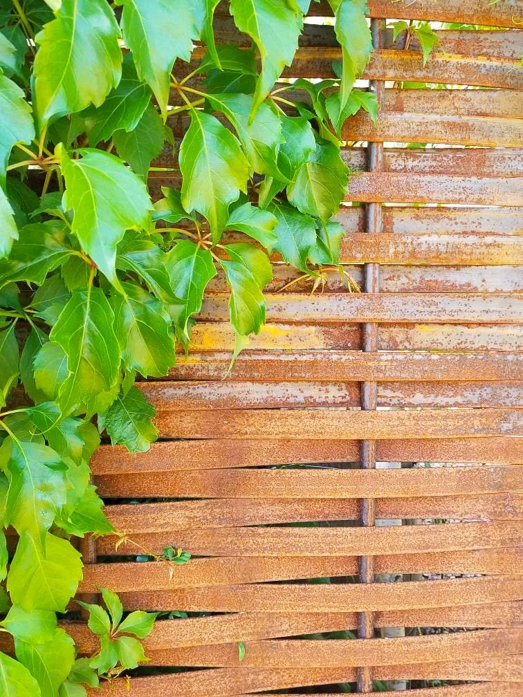 Steel Weave Fencing & Posts — Steel Landscaping Co.