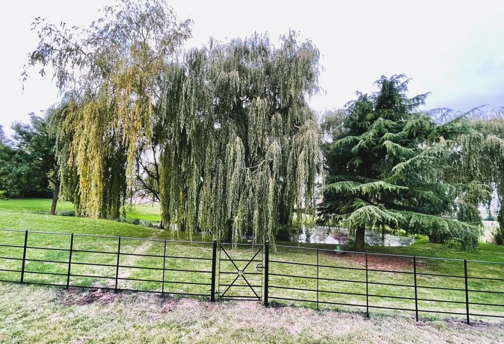Quality Traditional Steel Fencing & Bespoke Steel Work | Steel ...
