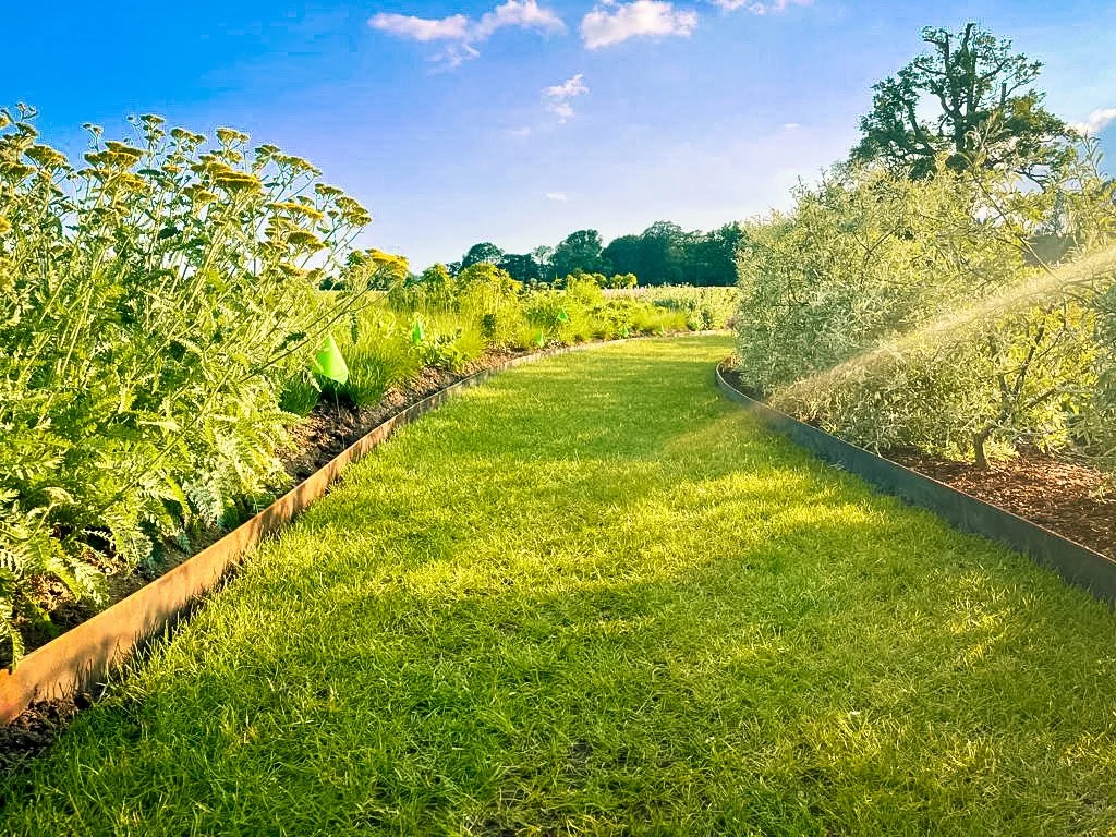 Steel Lawn Edging | Metal Edging — Steel Landscaping Co.