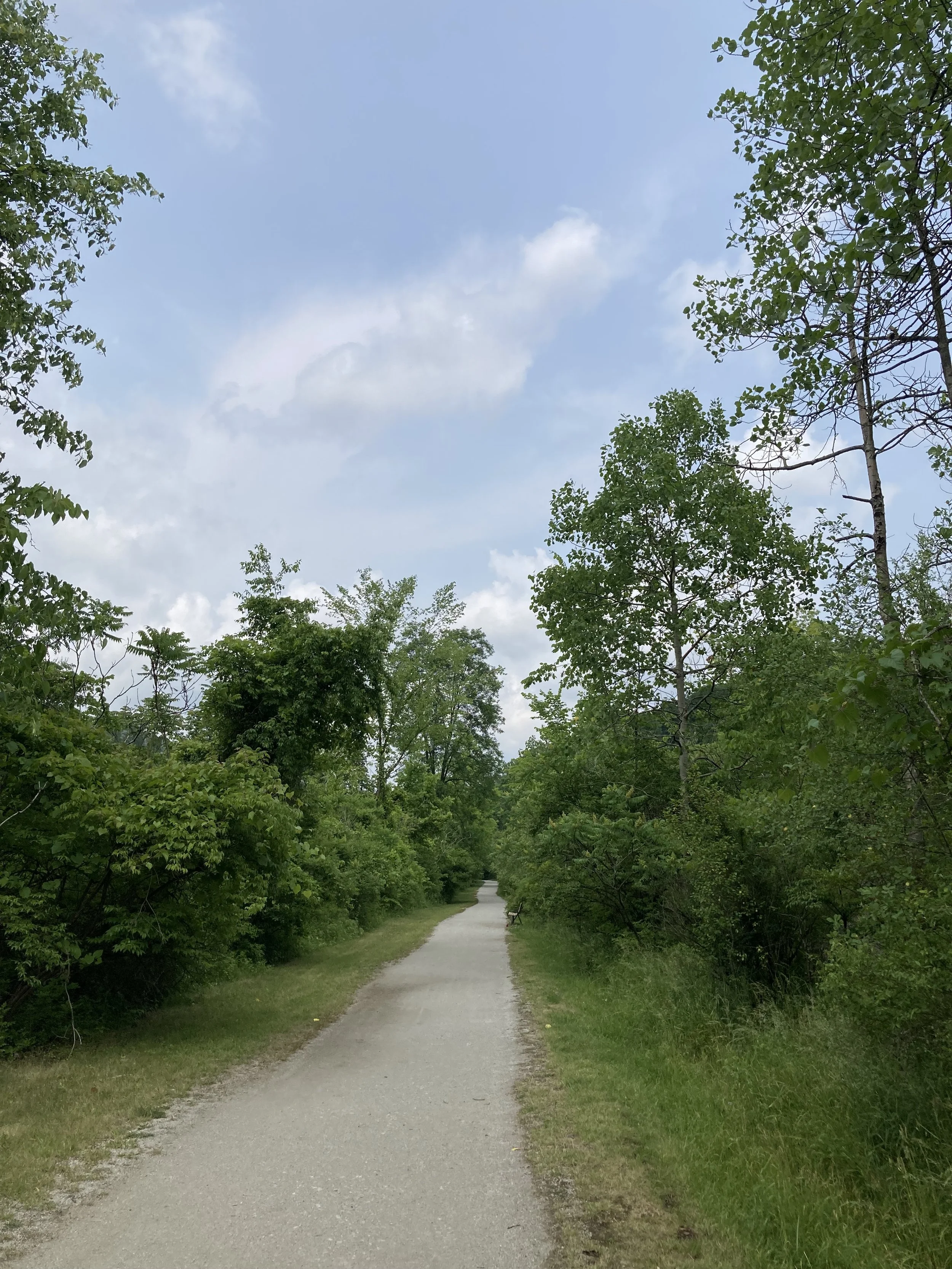 Hiking Therapy — Ben Rainey, LCSW