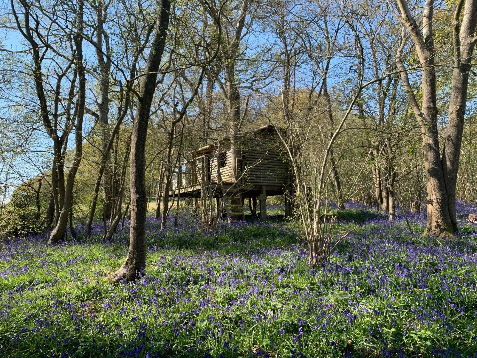 The Barn — Honeybridge Estate — Country Estate and Luxury Self Catering ...