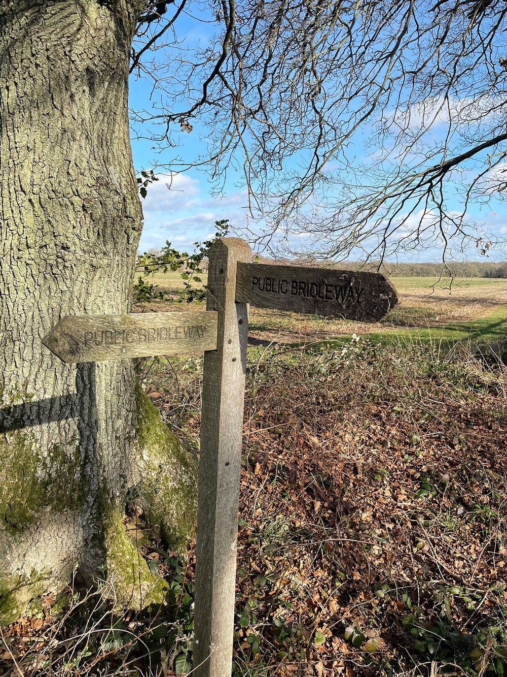 Explore — Honeybridge Estate — Country Estate and Luxury Self Catering ...