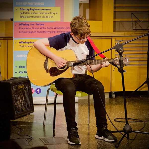 Irish Institute of Music and Song
