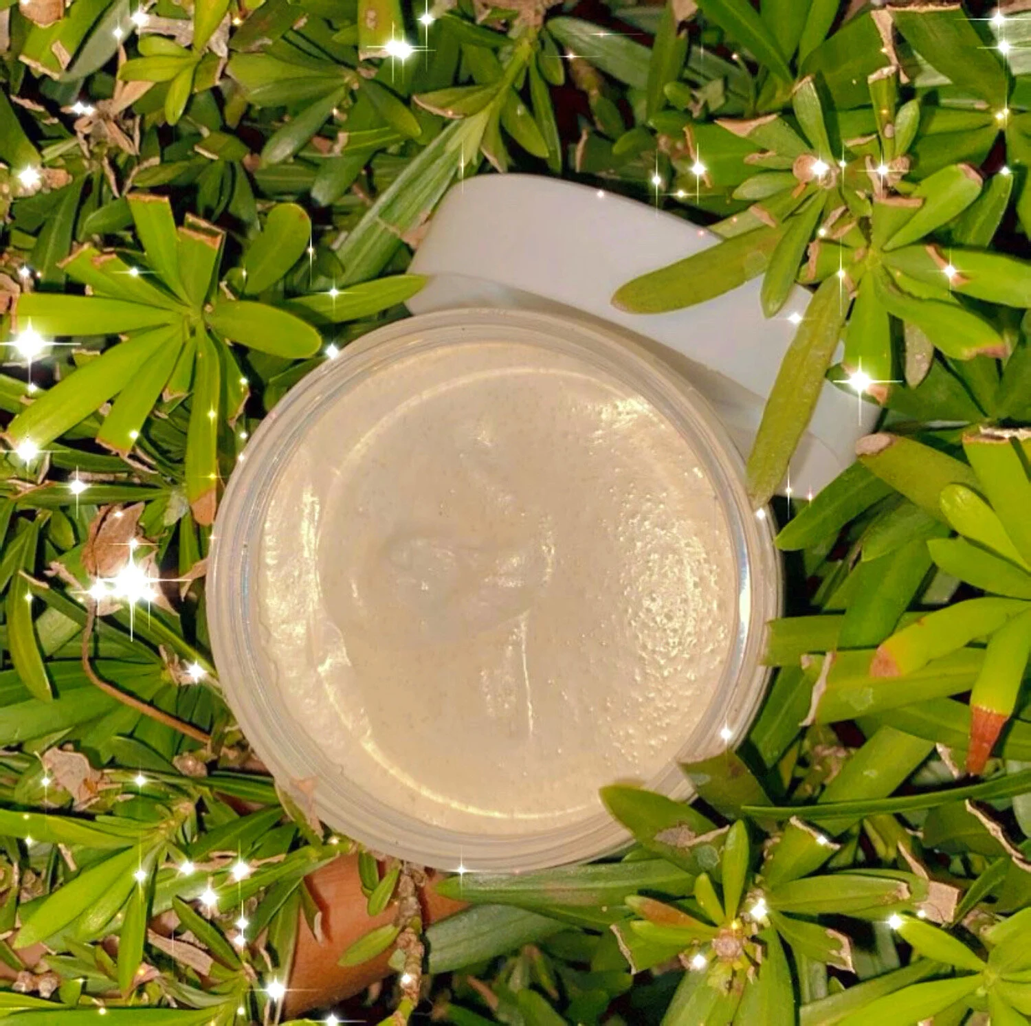 Naturally Blessed Shea Butter — Naturally Blessed Hair & Skin Care