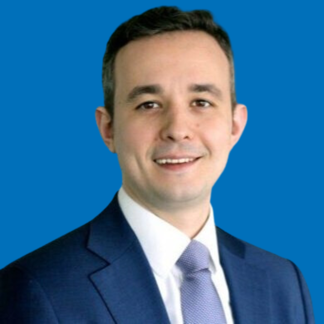 Board Member - Mikhail Grinberg — Globally
