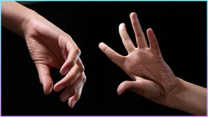 Hands- Male & Female- Photo Reference Pack For Artists- 735 JPEGs ...