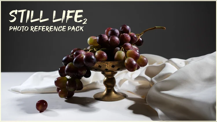 Still Life- Photo Reference Pack For Artists 230 JPEGs — satine zillah