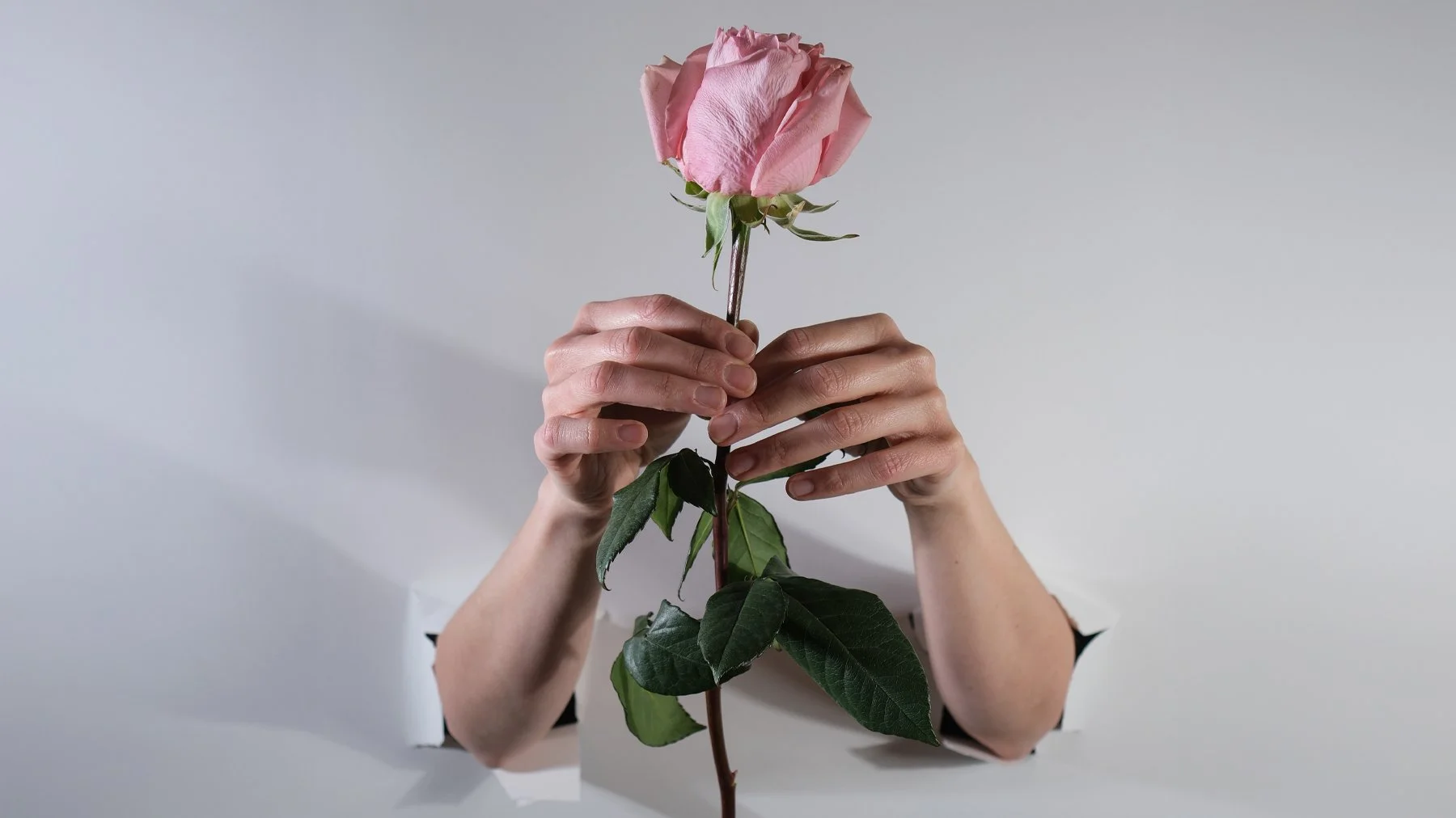 Hands- Photo Reference Pack For Artists 587 JPEGs — satine zillah