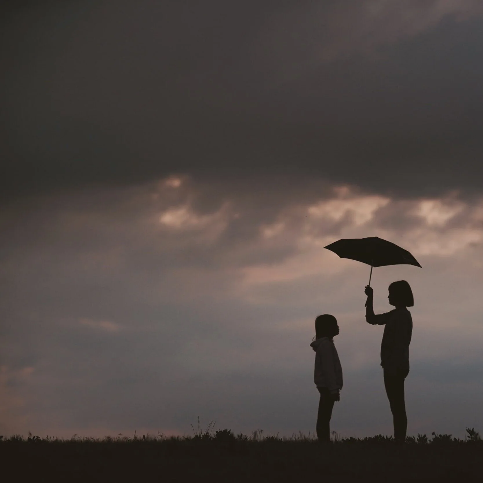 What We Do — Quest Counseling