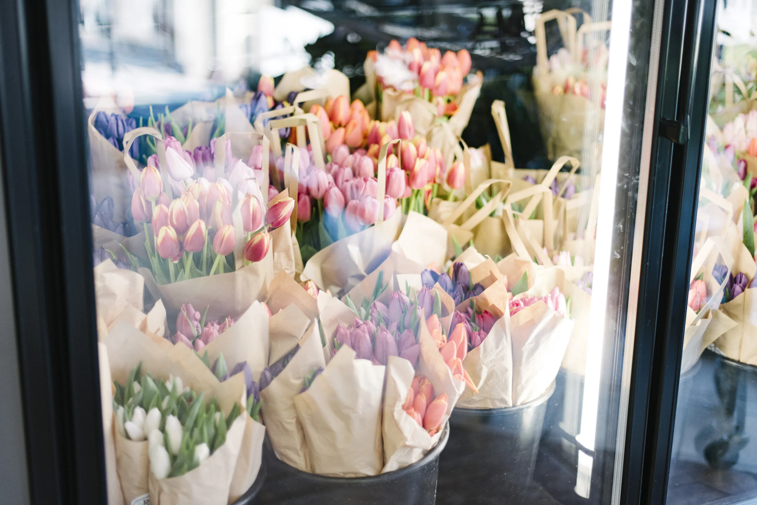 OUR STORY — Rosarium Luxury Roses
