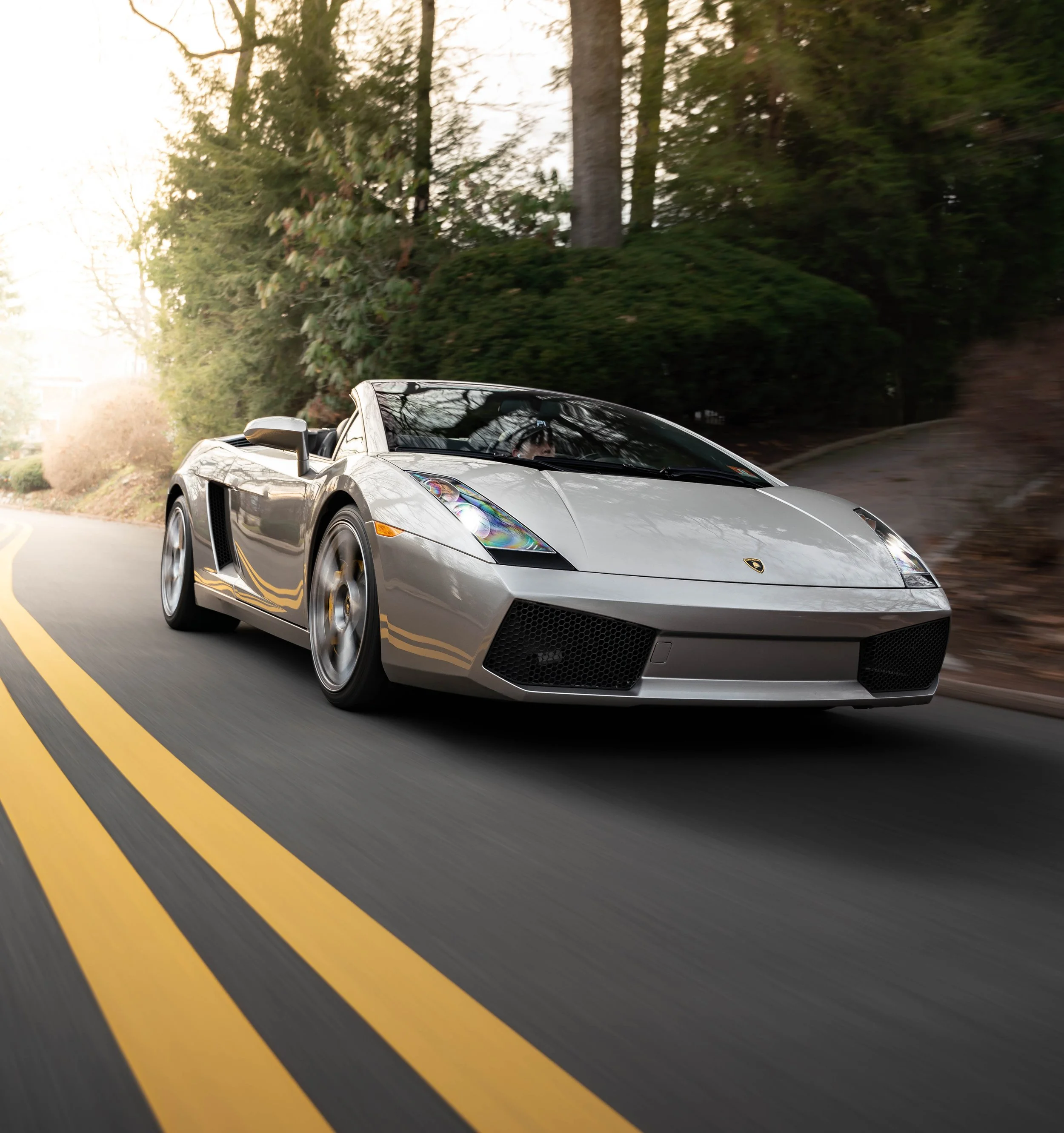 P1 Exotics Inventory — P1 Exotics