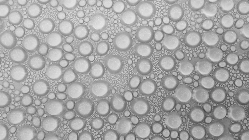 What is the best metal roof for residential housing? — Freedom Metals