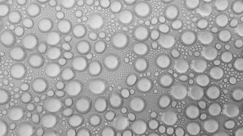 What is the best metal roof for residential housing? — Freedom Metals